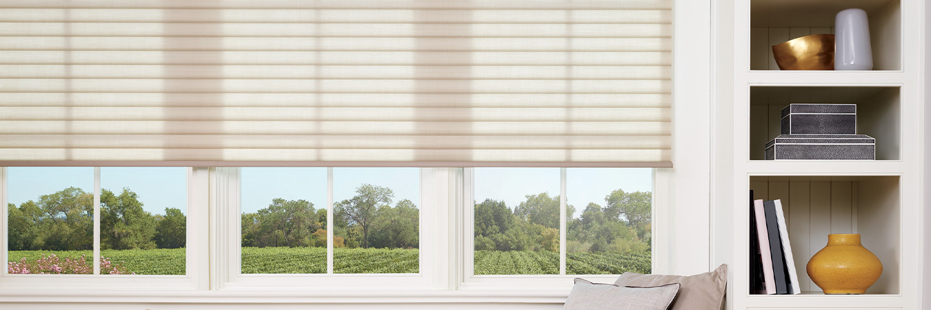 Everything About Window Shades Vs Blinds In Dallas